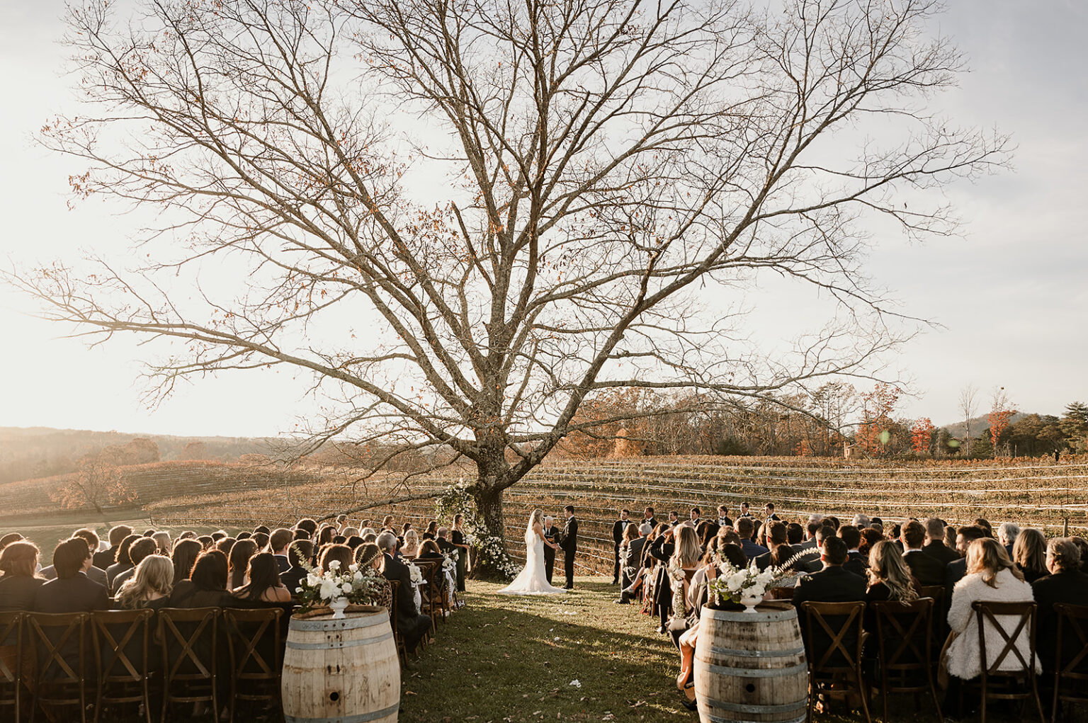 Montaluce Winery Wedding | Photos, Tips & Pricing