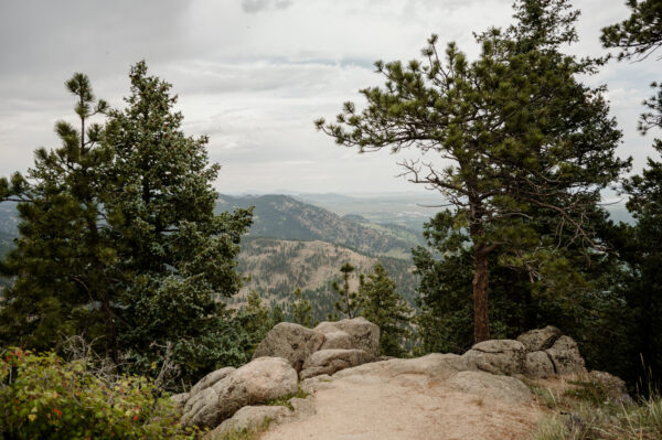 Sunrise Amphitheater Wedding | 2023 Guide - Authentic Collective