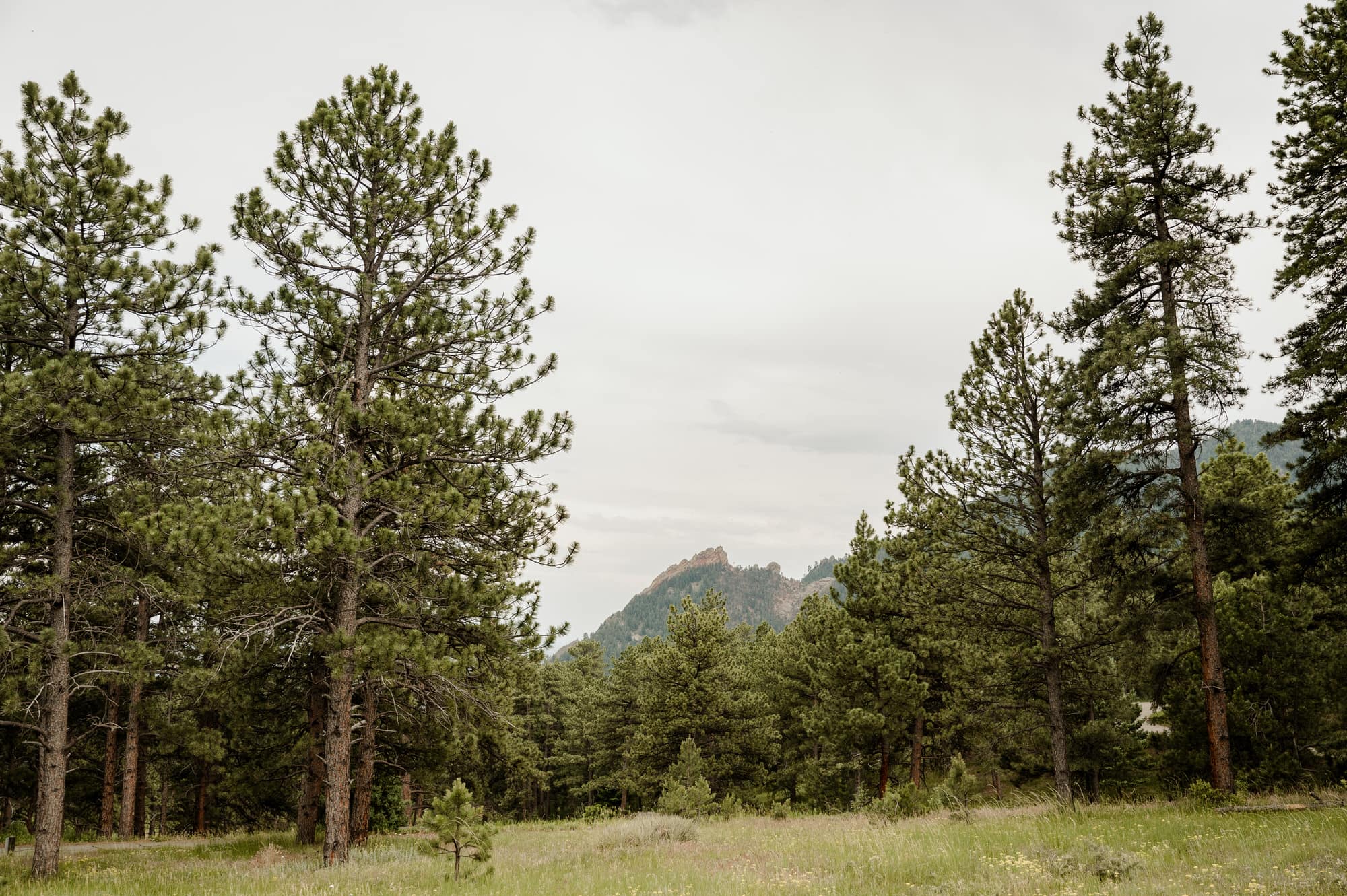 Sunrise Amphitheater Wedding | Photos, Cost & Tips