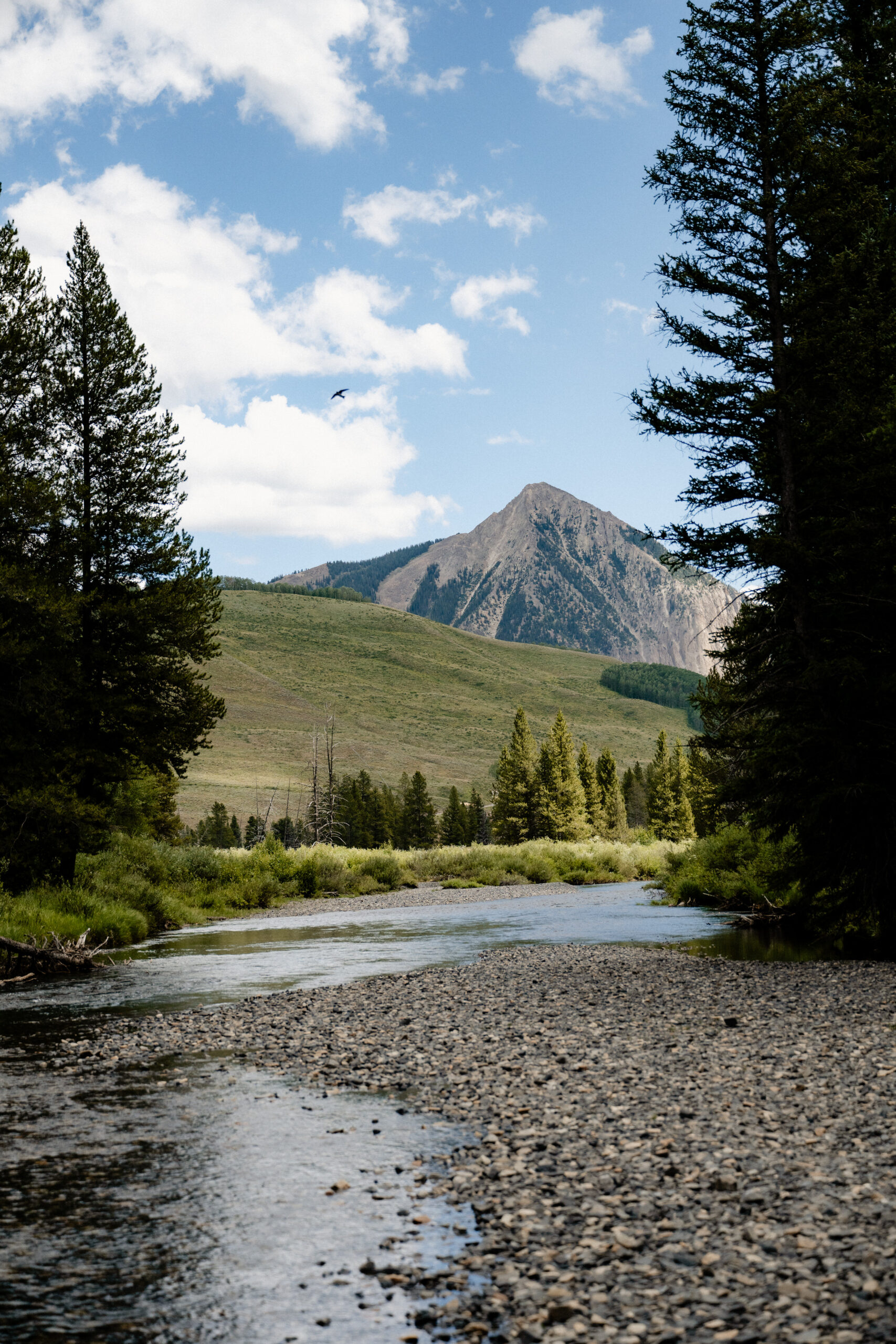 Crested Butte Land Trust Wedding