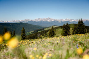 Vail Elopement Guide | Locations & Best Photographers