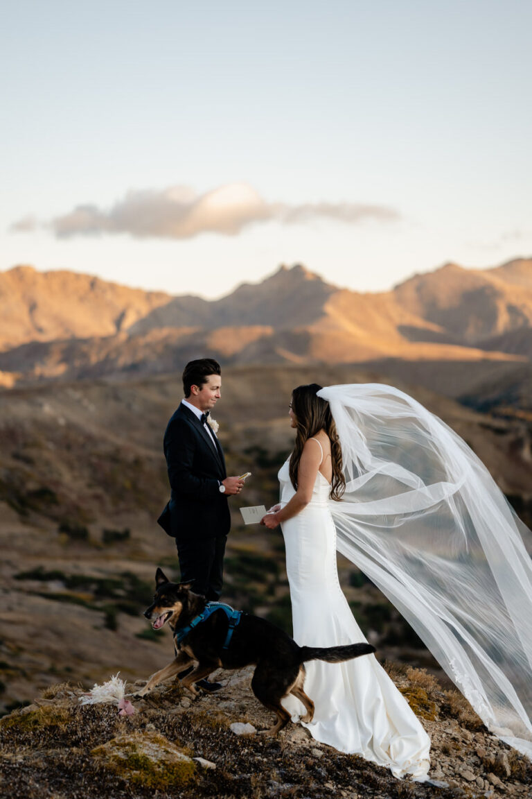 Commitment Ceremony | What It Is And How To Plan One