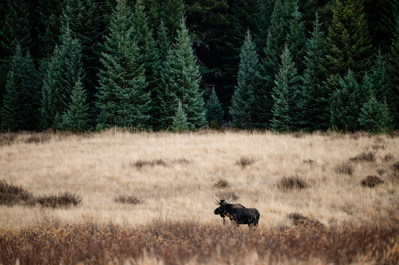 Fun Things For Couples In Denver: Date Ideas You'll Love